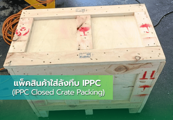 ตีลังไม้ เพื่อส่งออก - เพอร์เฟคคอนโทรล รับรมยาอบความร้อนกำจัดแมลงศัตรูพืช